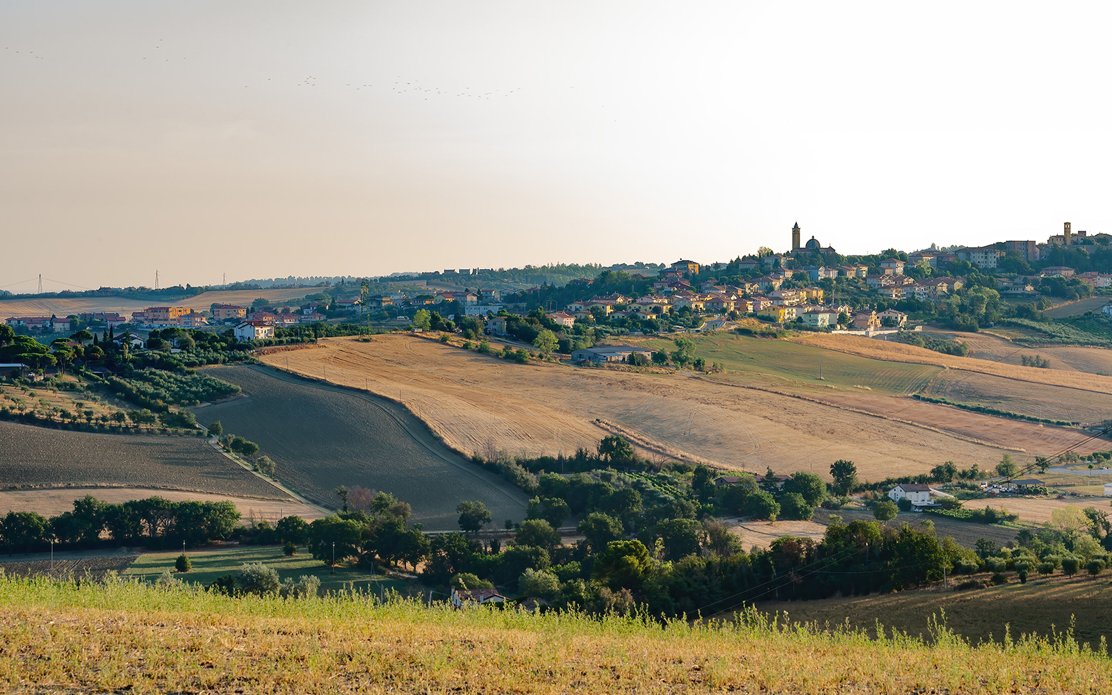 Tavullia – Italia.it