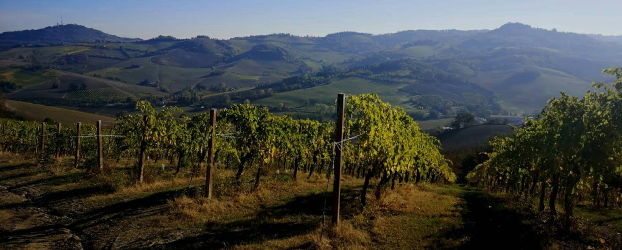 Fratta Terme - Italia.it