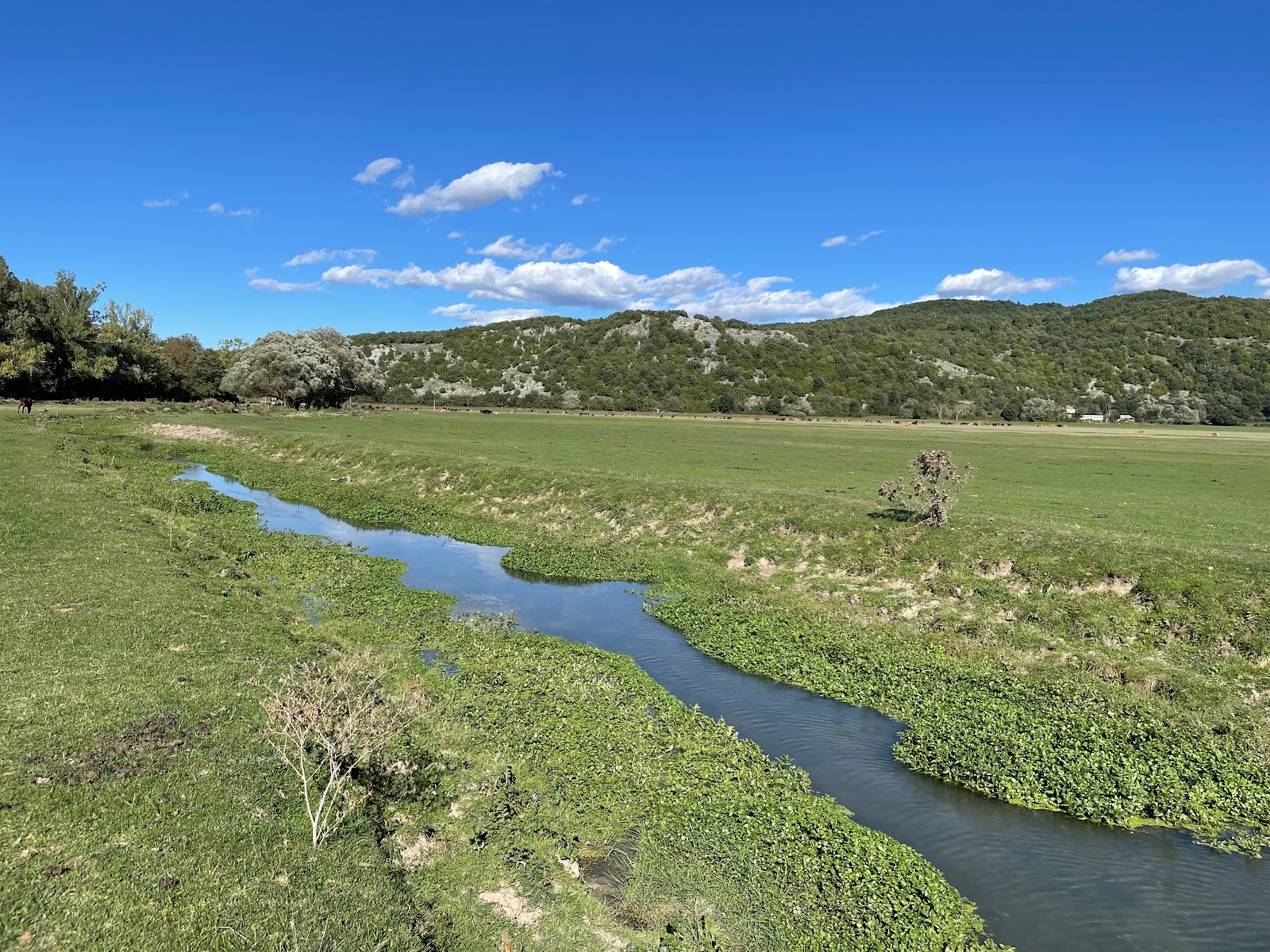 Pantano della Zittola (Feudo Valcocchiara) - Italia.it