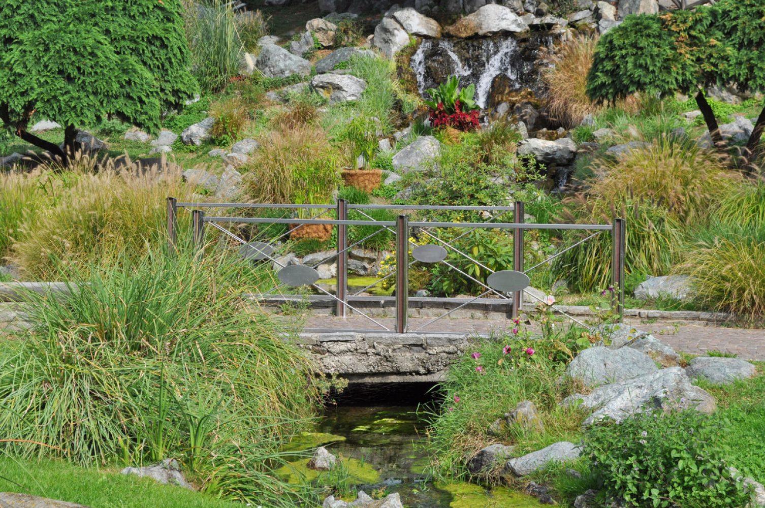 Botanical Garden in Turin: what to visit - Italia.it