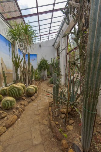 Botanical Garden in Turin: what to visit - Italia.it