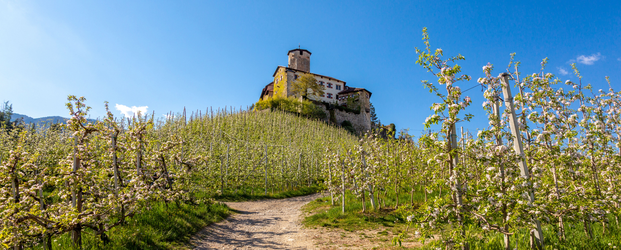 Castel Valér - Italia.it