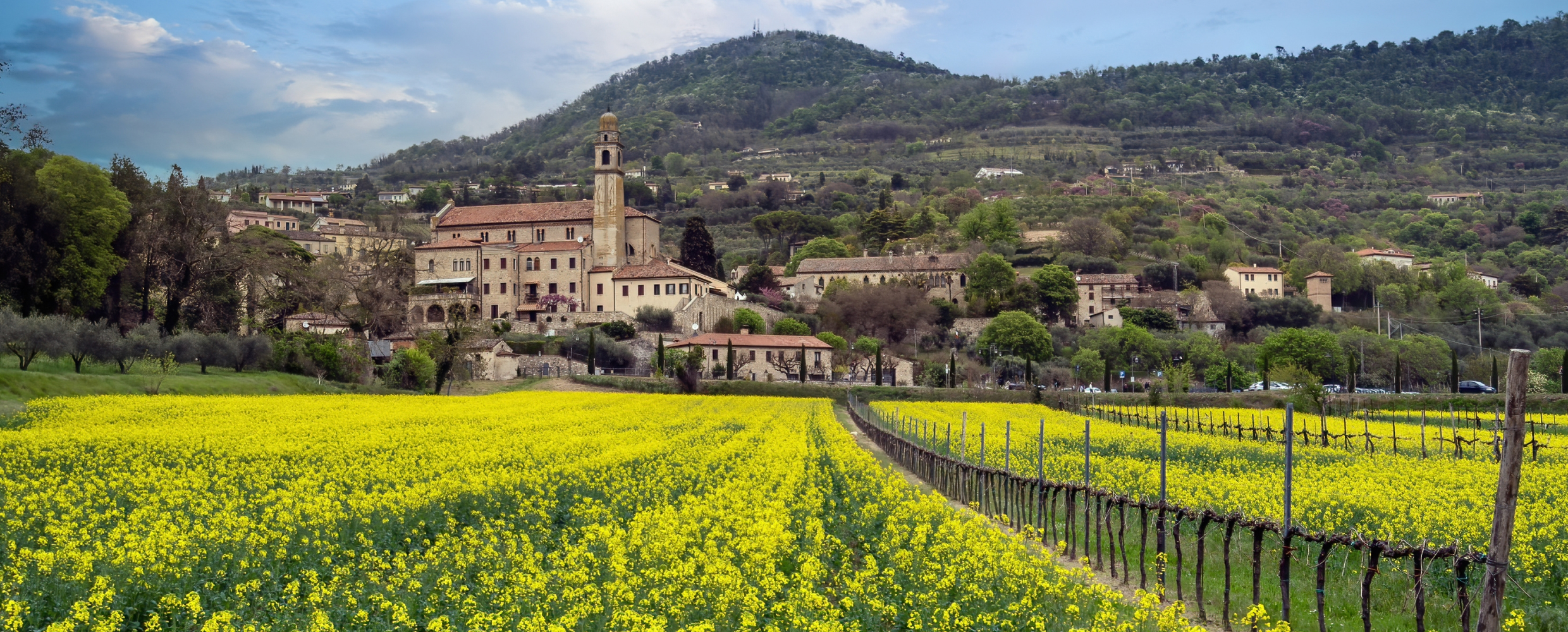 Arquà Petrarca, village in Veneto: things to do - Italia.it