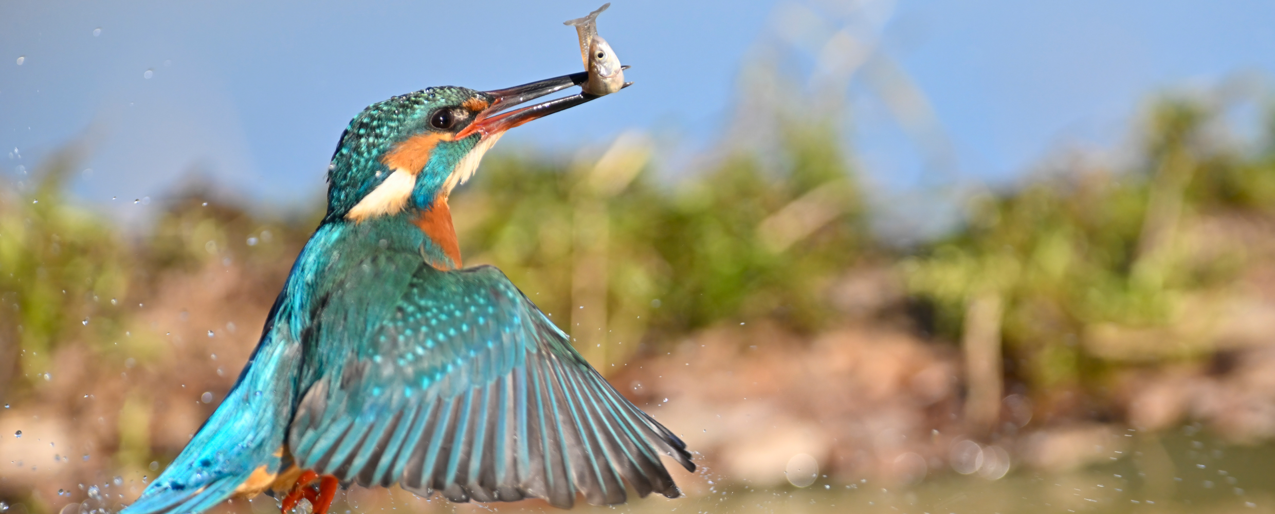 Oasi Ca' Mello - Italia.it