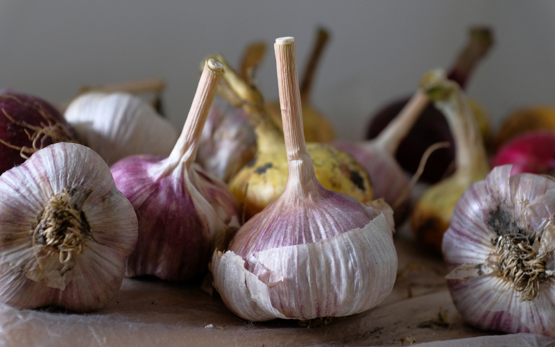 Abruzzo food: Sulmona red garlic - Italia.it