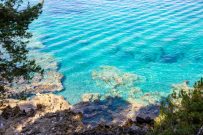 Italian products: olive oil EVO from Basilicata - Italia.it