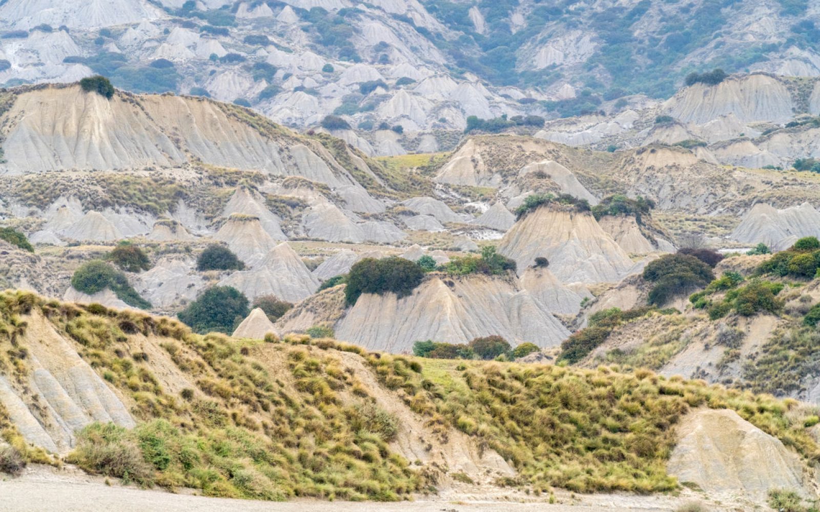 Lower Basento: an itinerary through villages and parks - Italia.it