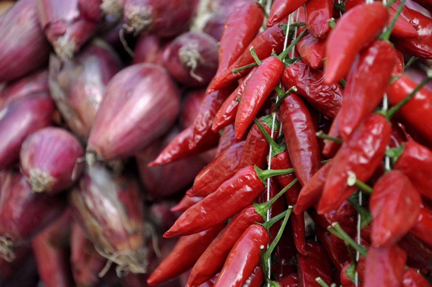 Food and wine in Italy: things to do - Italia.it