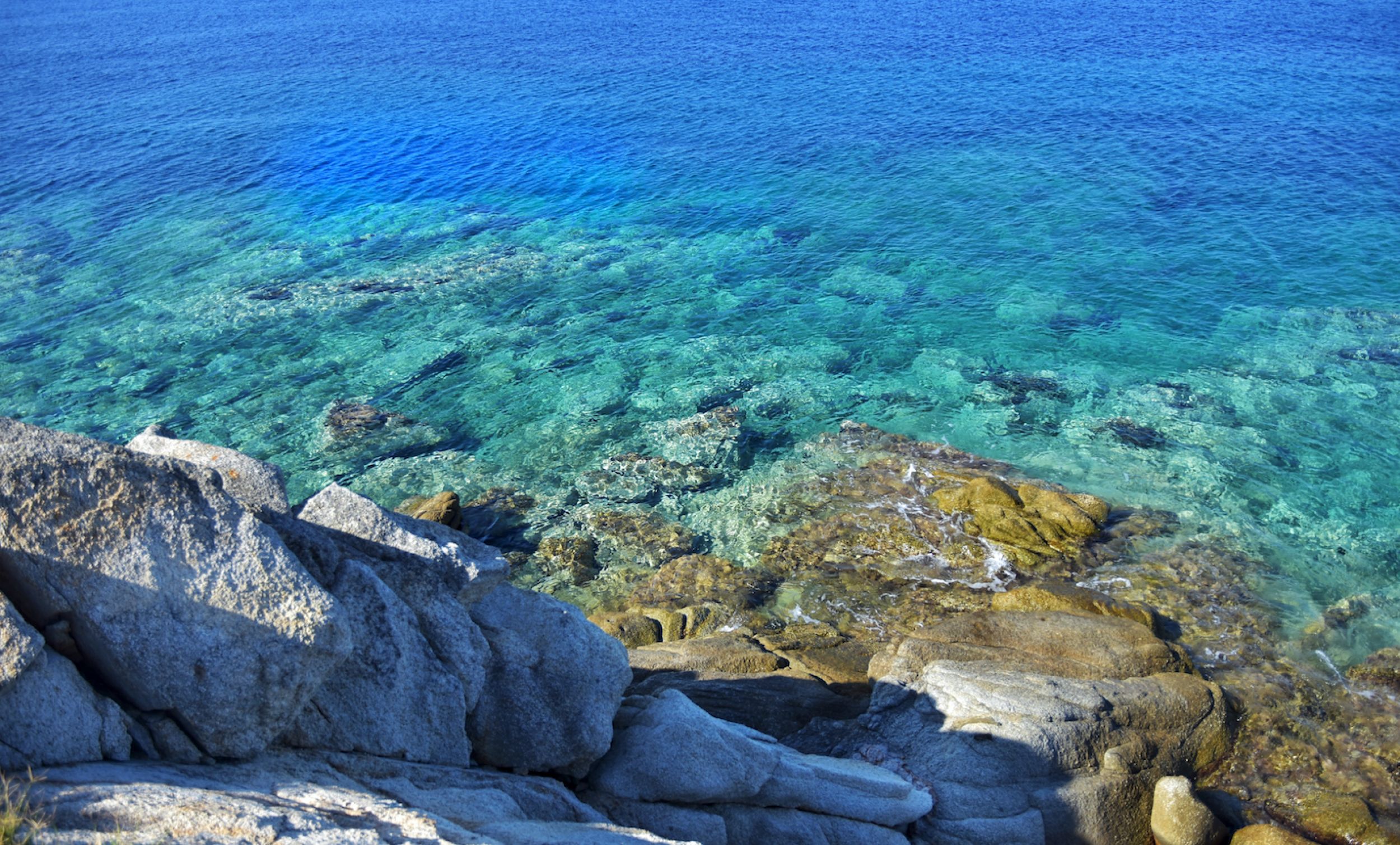 Costa dei Gelsomini: enjoy nature in Calabria - Italia.it