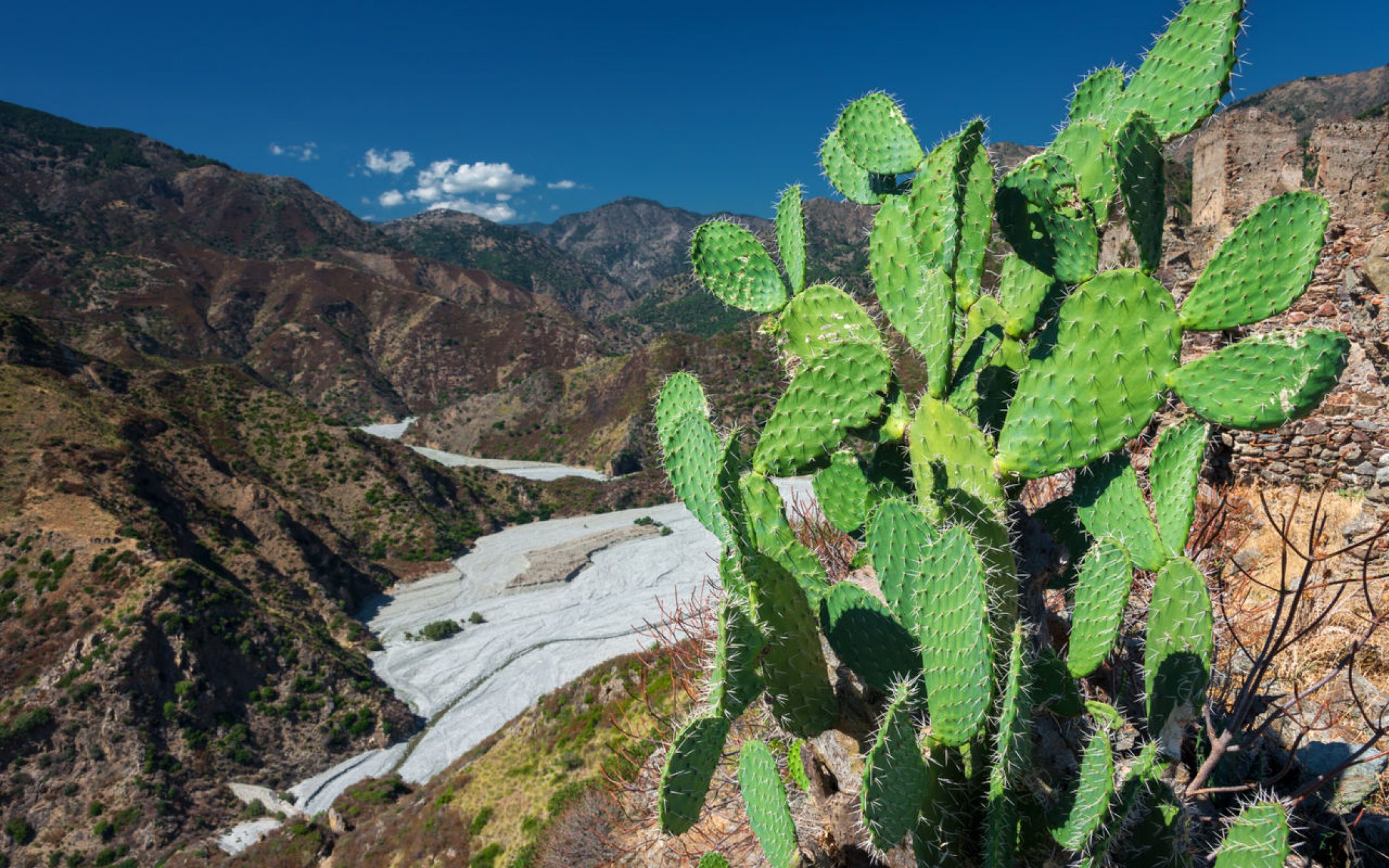 Aspromonte National Park: what to see - Italia.it
