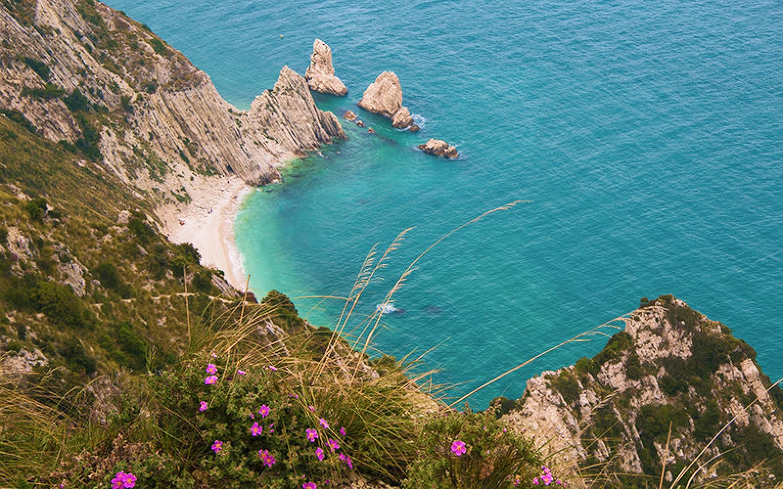 Salt Route: discover Emilia Romagna by boat - Italia.it