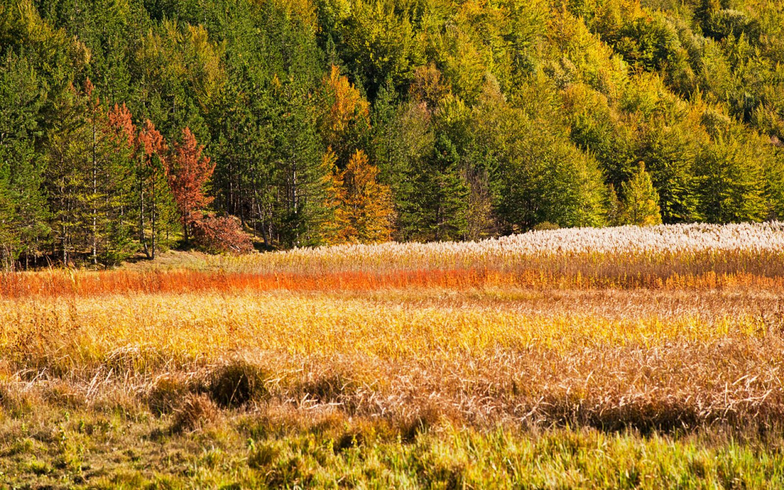 Trekking among the lakes of the Alta Val Nure - Italia.it