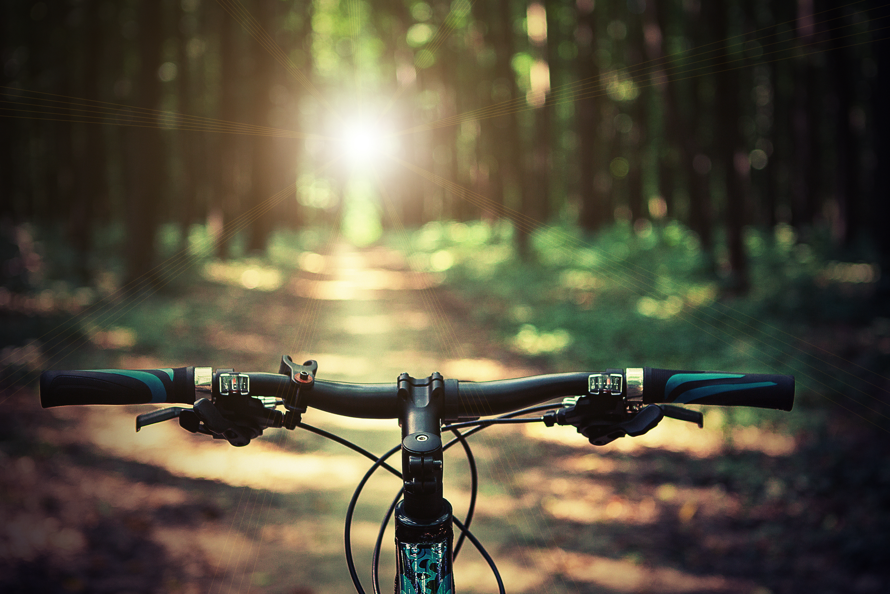 Friuli-Venezia Giulia by bike: history & nature - Italia.it