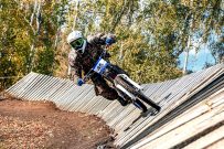 Abruzzo food: Sulmona red garlic - Italia.it