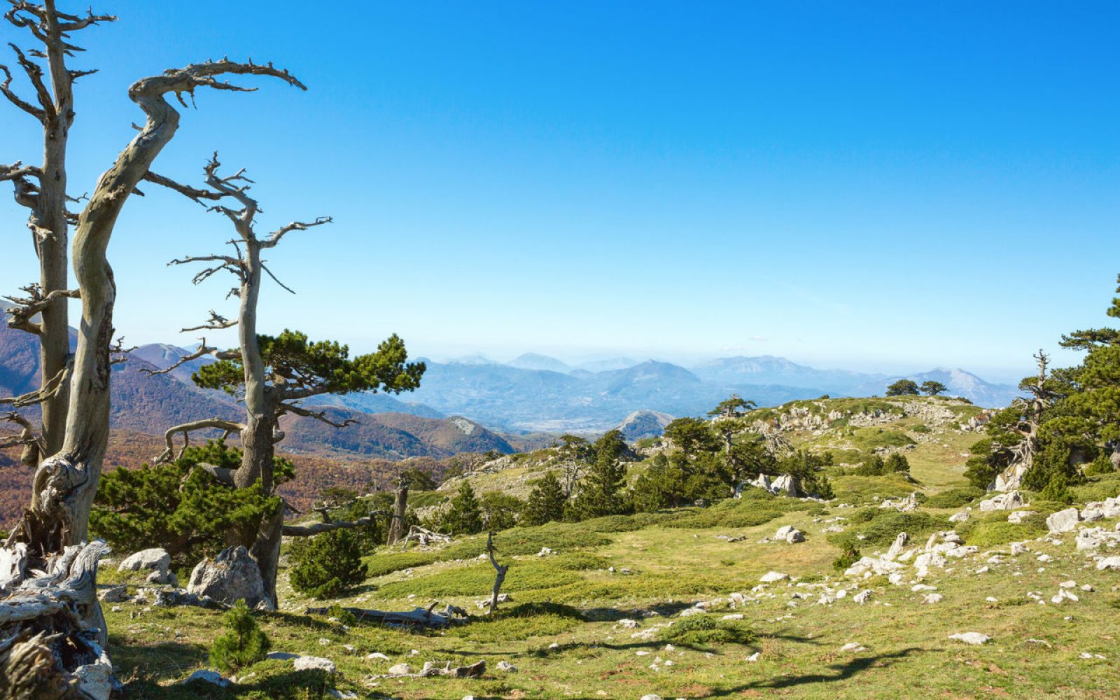 Pollino Park Itinerary: 4 stages - Italia.it