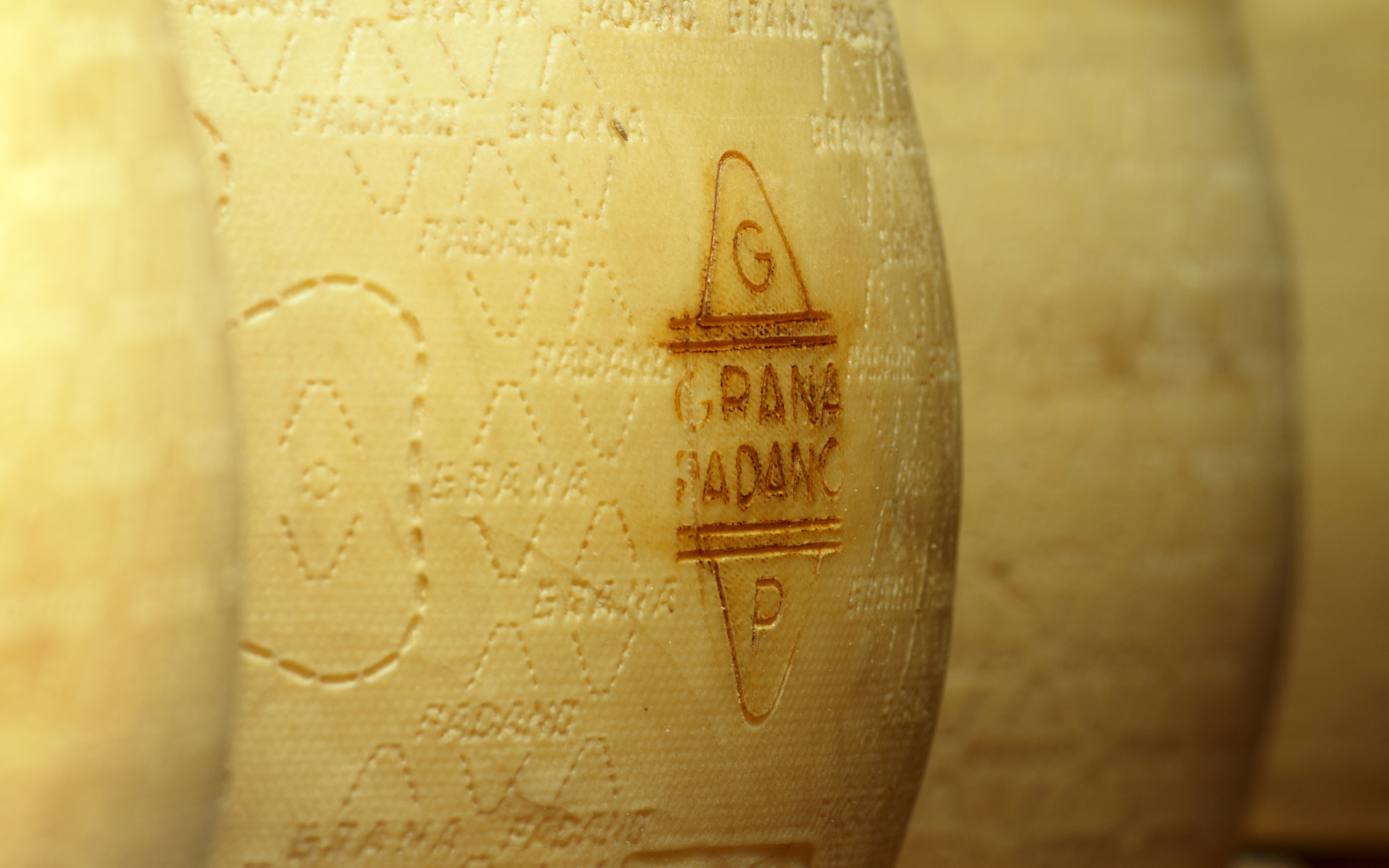 The traditional cheeses of Lombardy - Italia.it