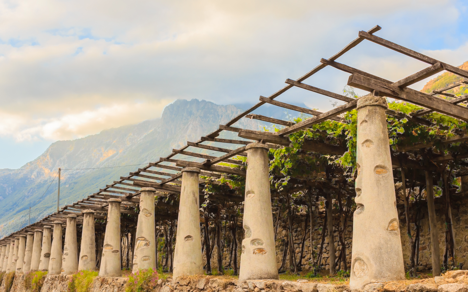 Nature in Italy: Carema and its vineyards - Italia.it