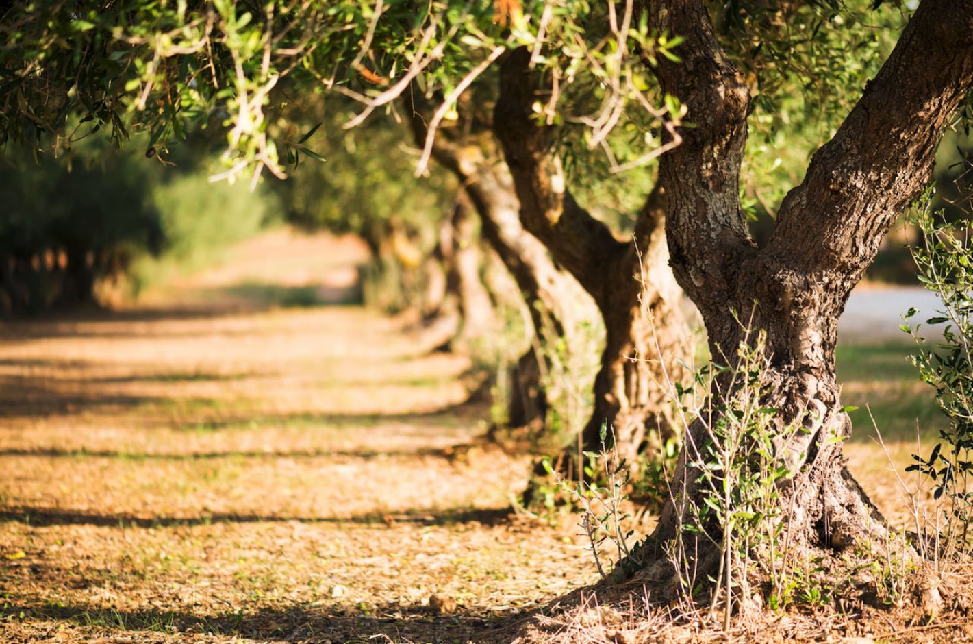 Puglia: Things to do & Places to visit - Italia.it