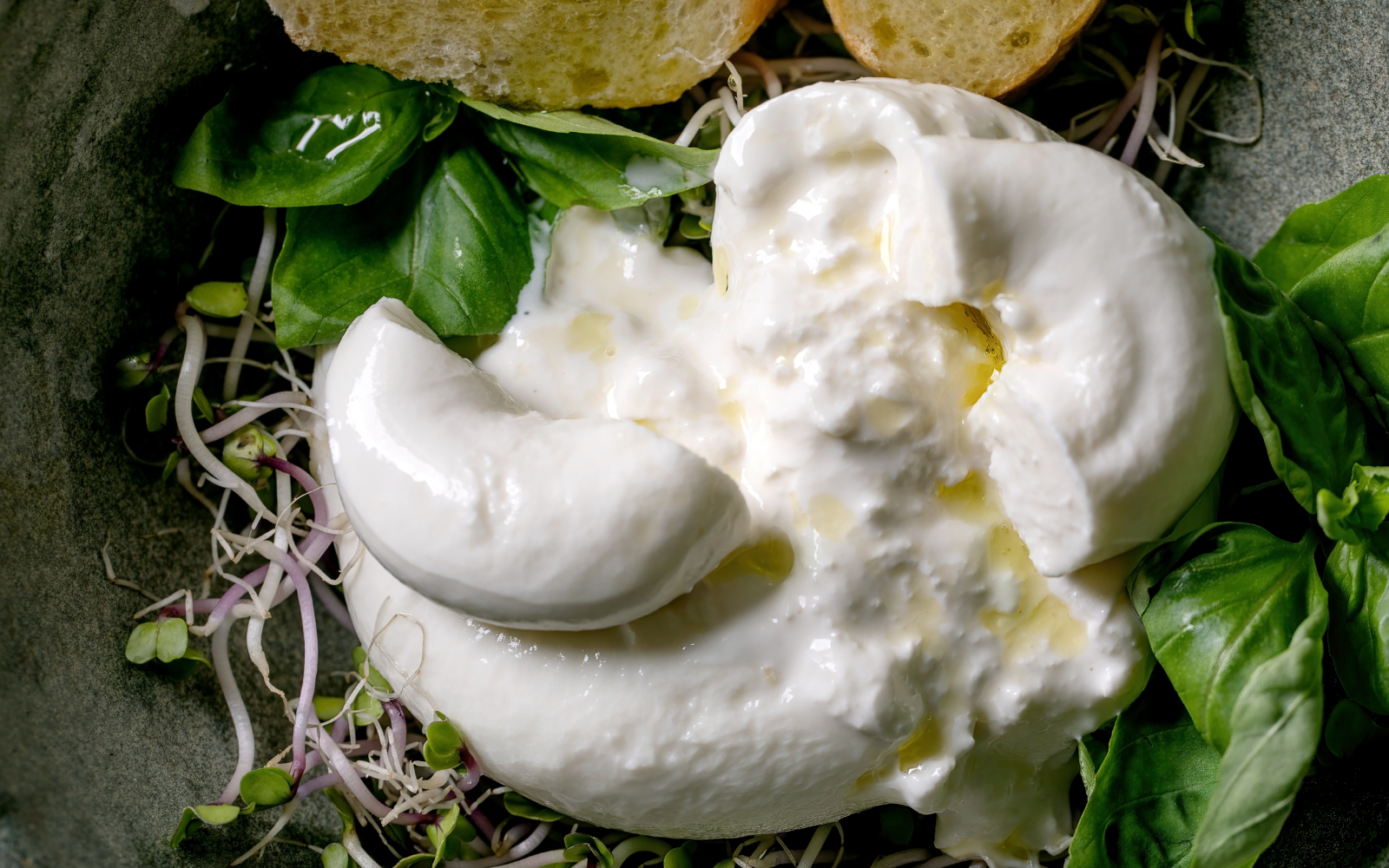 Typical food and wines in Puglia, Italy - Italia.it