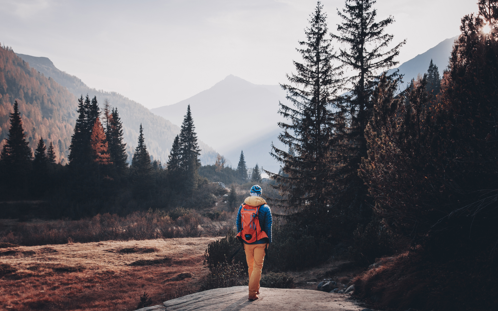 Fall foliage in Trentino, Italy: where and when to see it - Italia.it