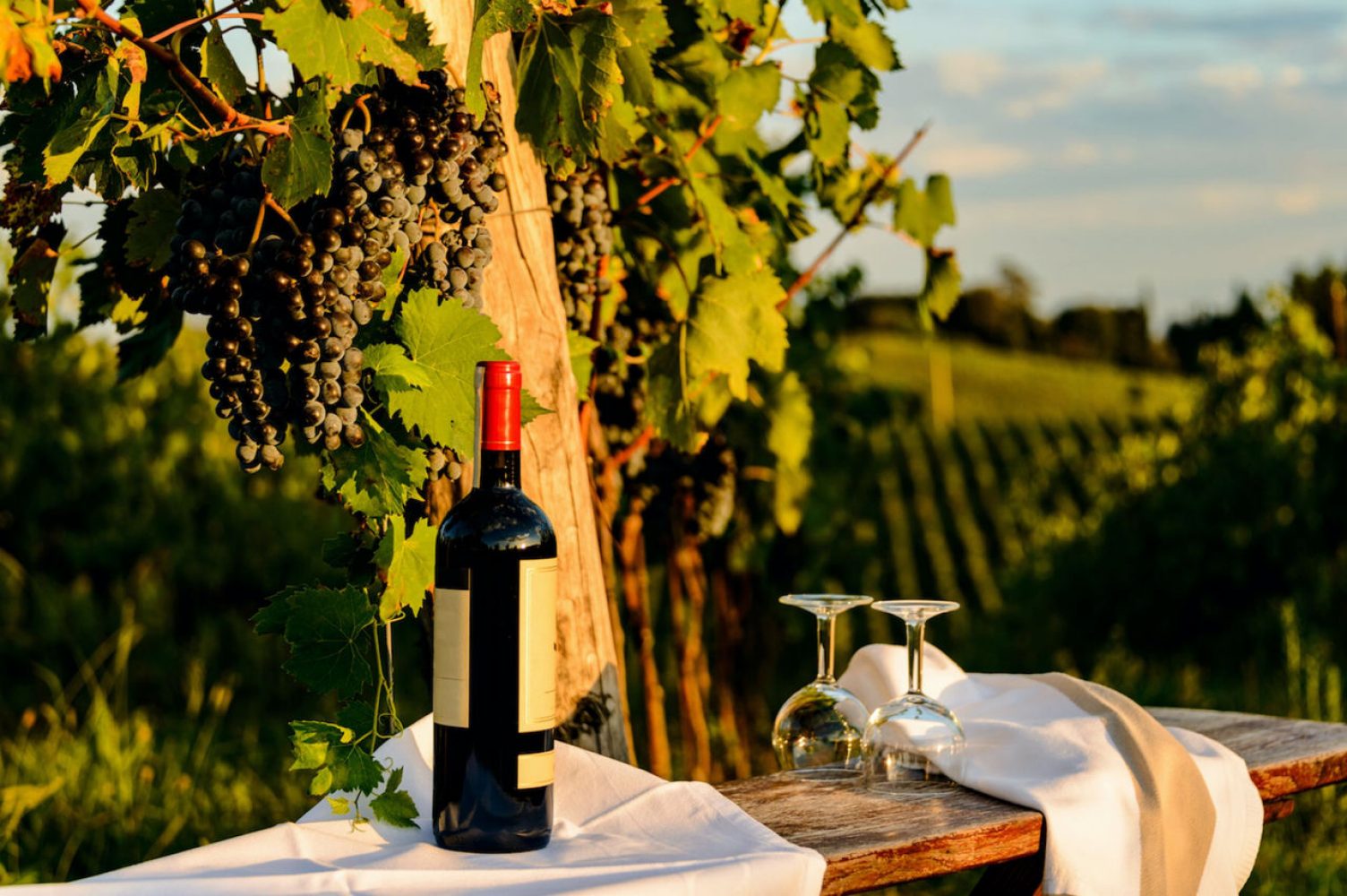 Chianti: Lugares de interés que ver en Toscana - Italia.it