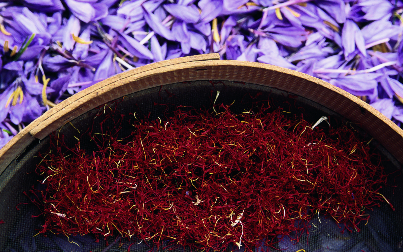 Cocina Tradicional De Abruzzo De Cuba
