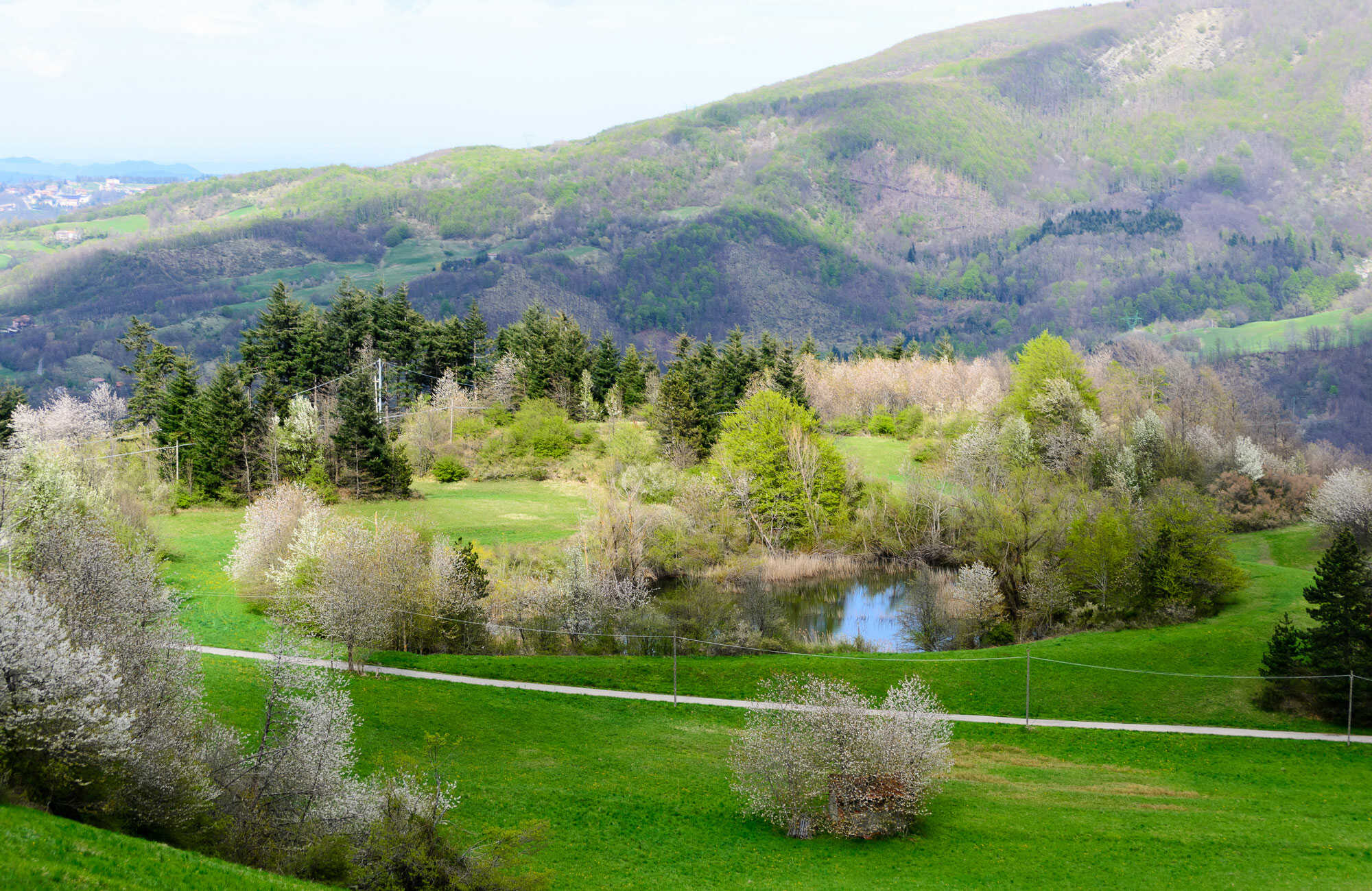 8 Parques y Jardines que visitar en Bolonia - Italia.it