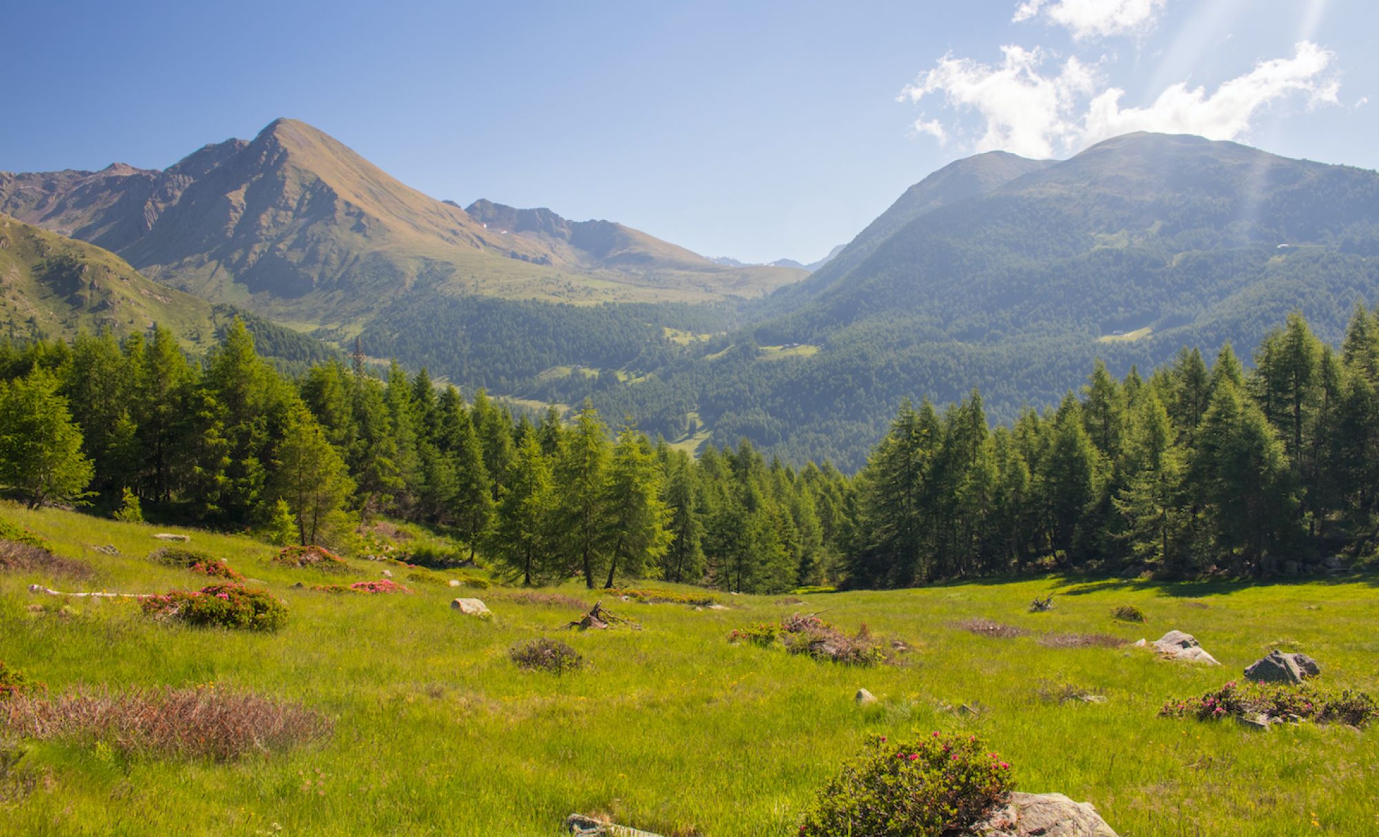 Passo del Mortirolo - Italia.it