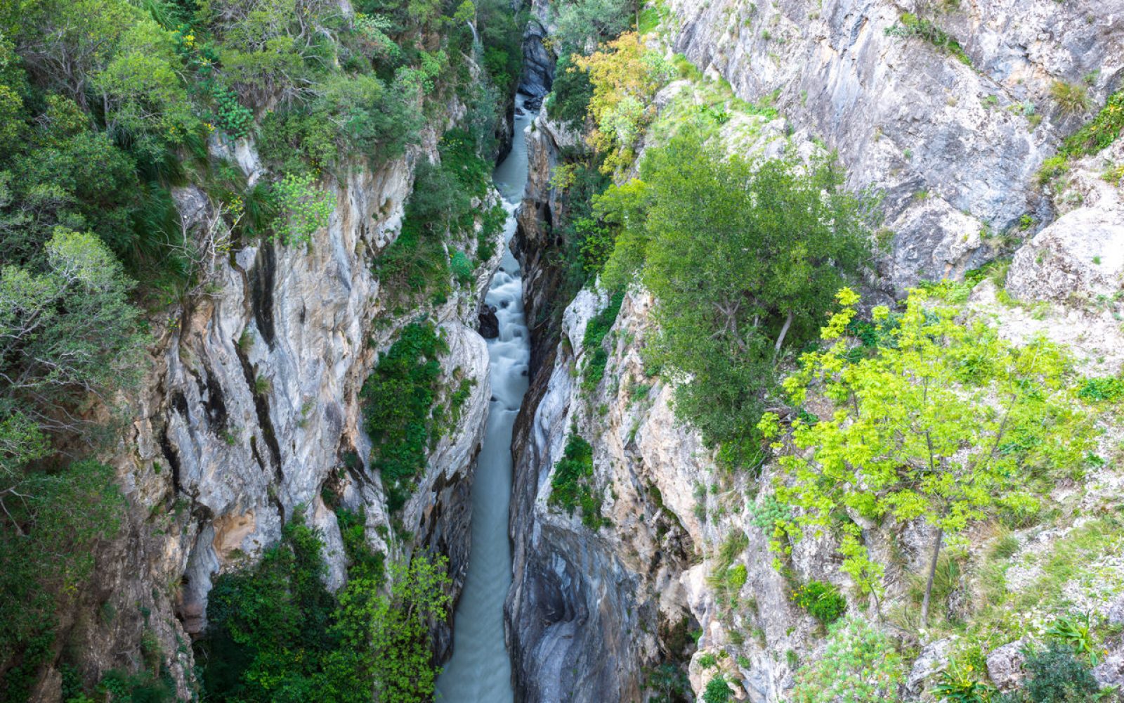Itinerario en el Parque Nacional del Pollino - Italia.it