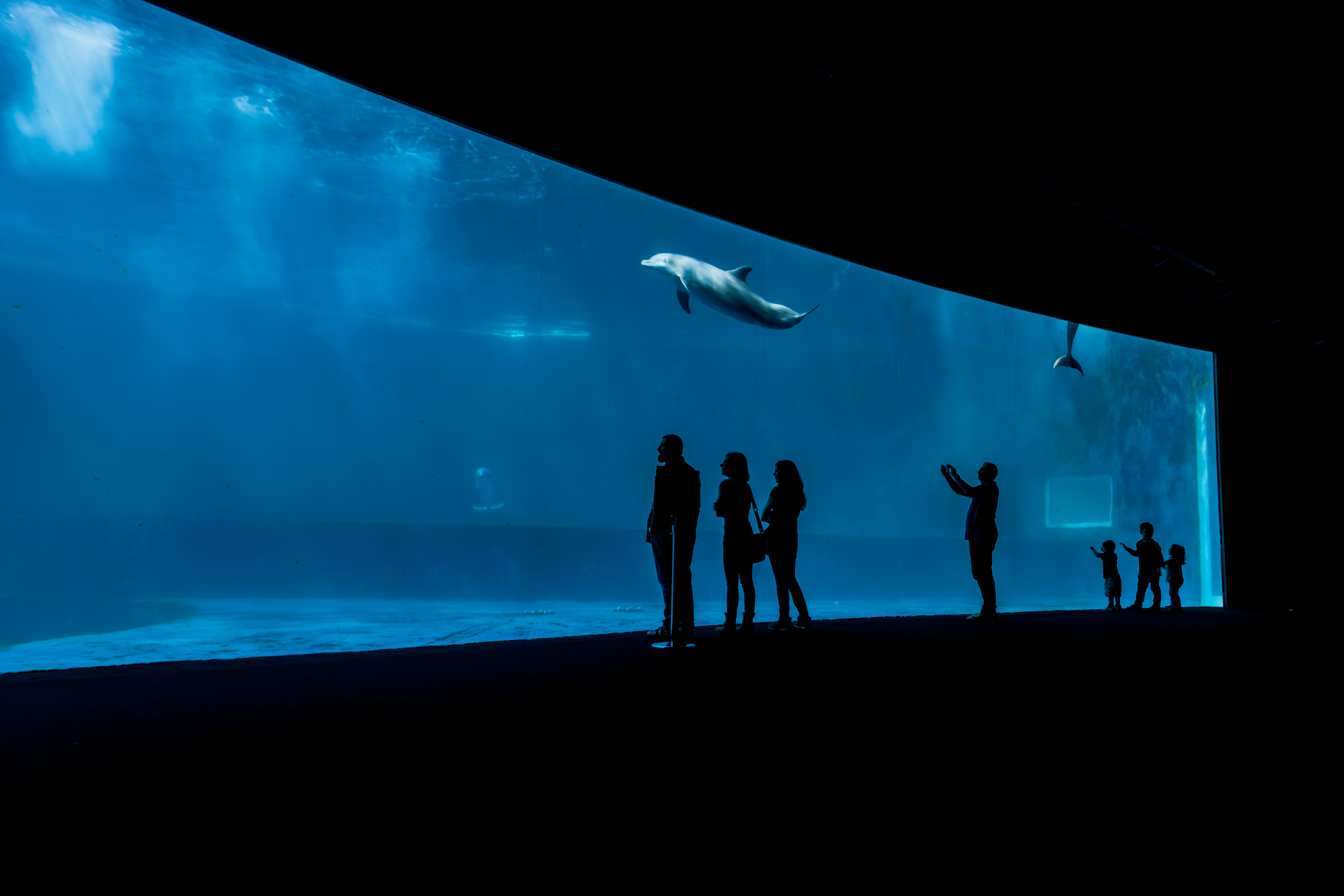 El Acuario de Génova con 3 aventuras que no hay que perderse