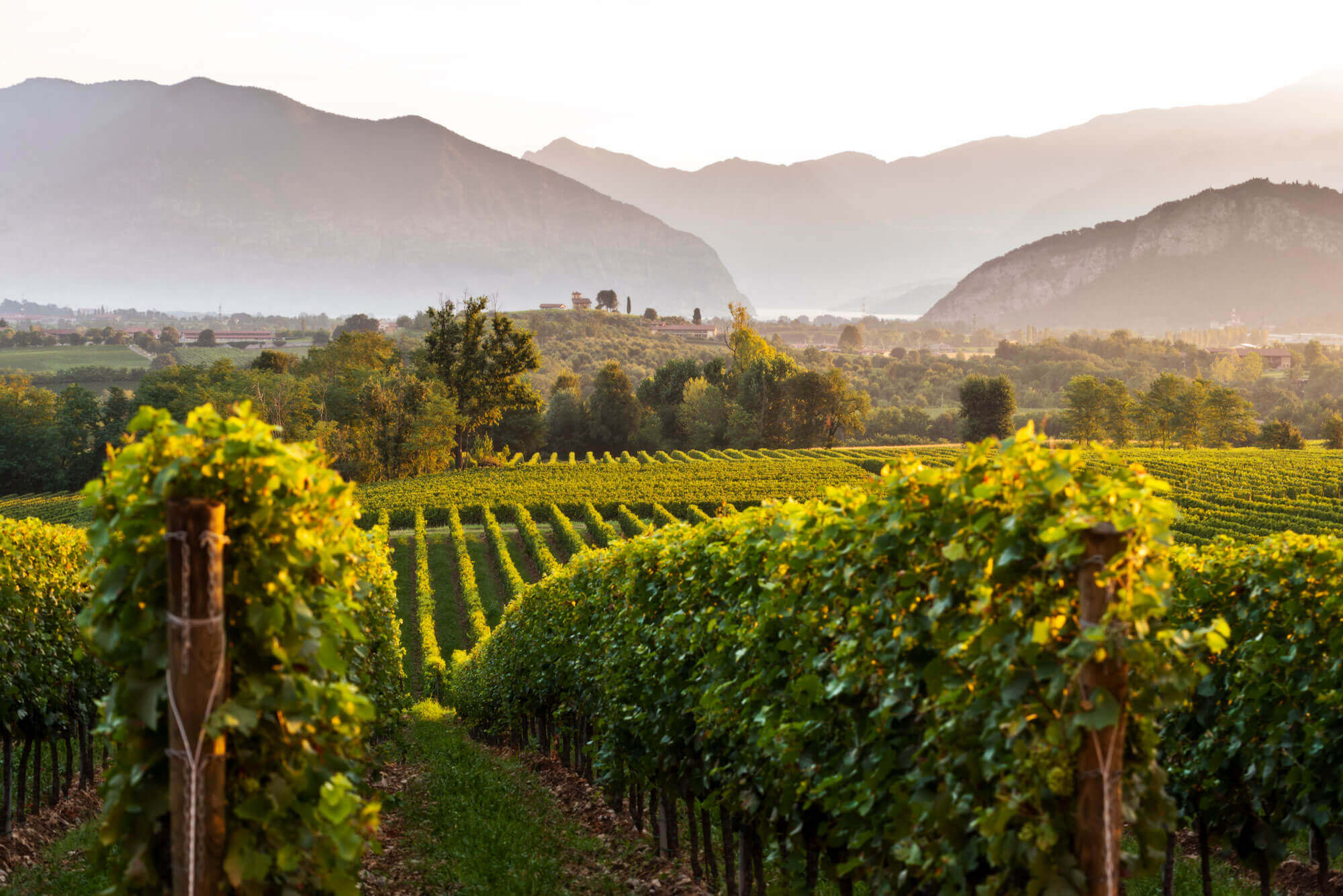 Lugares, sabores y comida típica en Lombardía - Italia.it