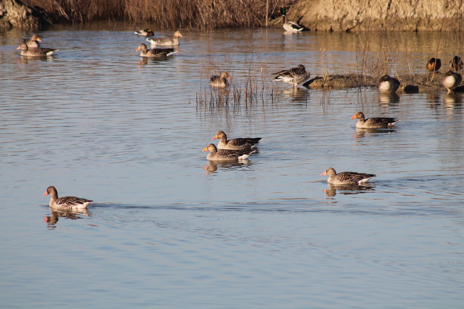 Oasi La Rizza - Italia.it