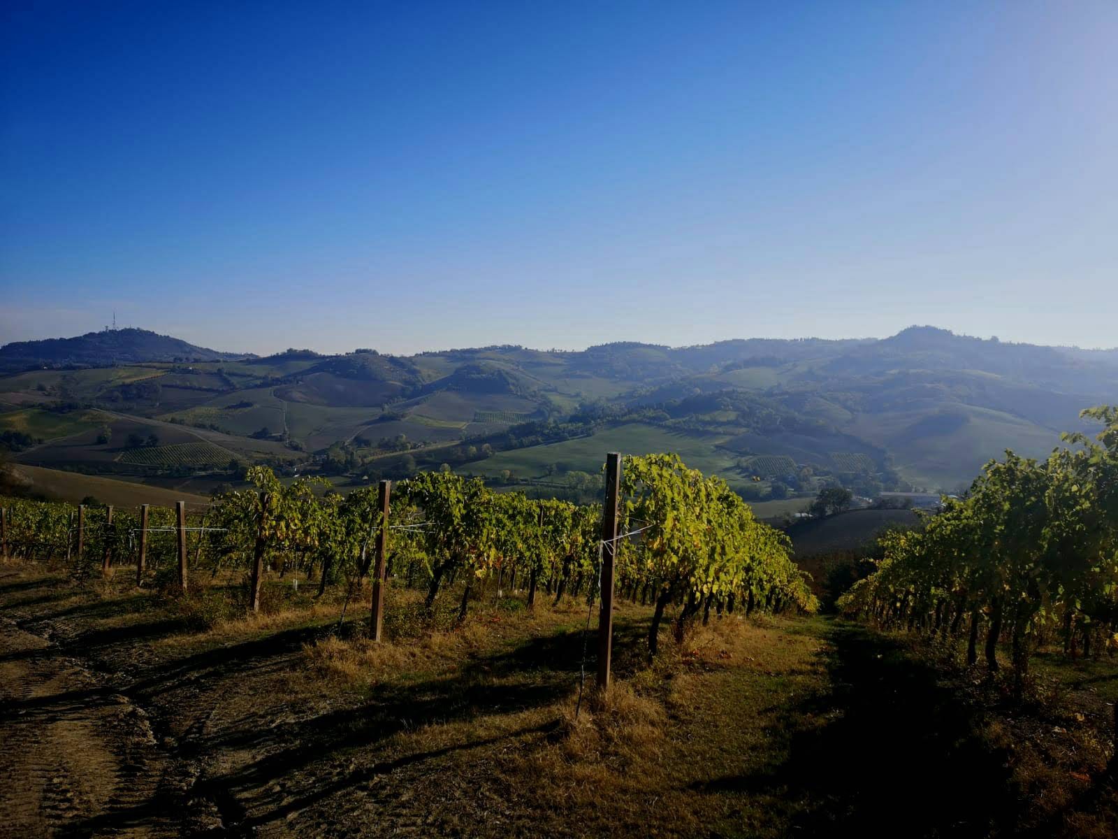 Fratta Terme - Italia.it