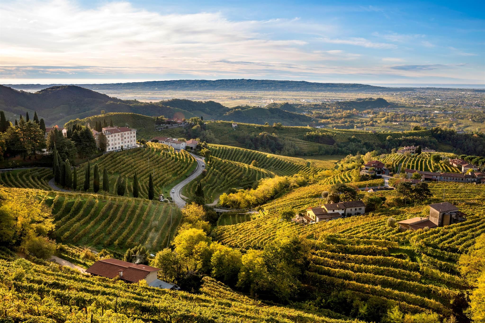 Strada del Prosecco e Vini dei Colli di Conegliano Valdobbiadene ...