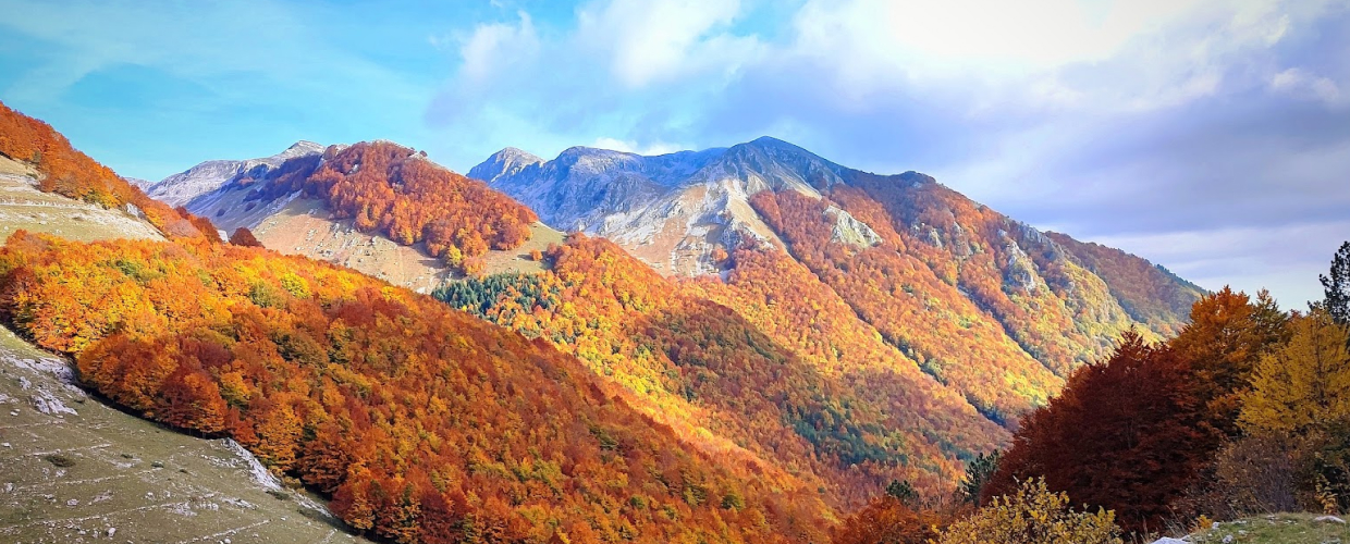 Forca d'Acero - Italia.it