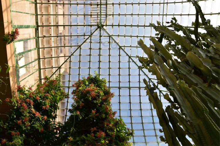 Giardini e Parchi a Roma: Orto Botanico - Italia.it