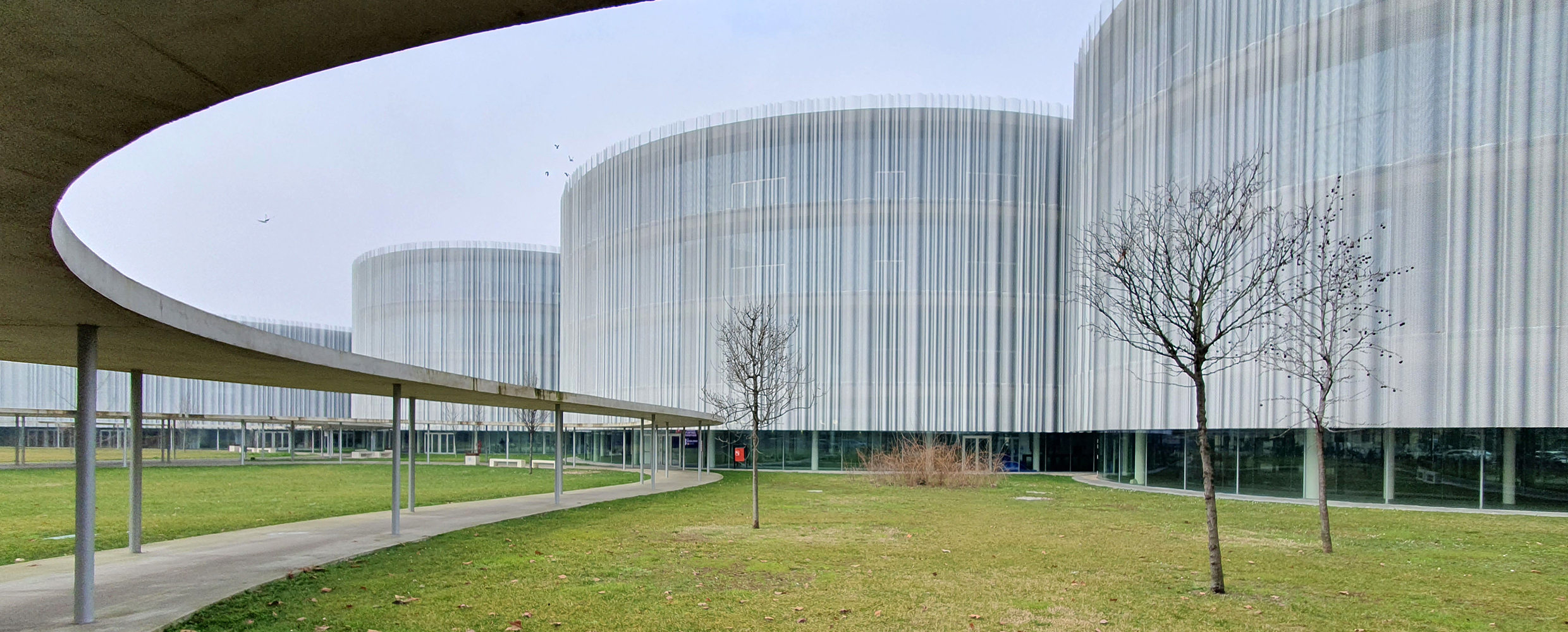 Nuovo Campus Sanaa dell’Università Bocconi - Italia.it