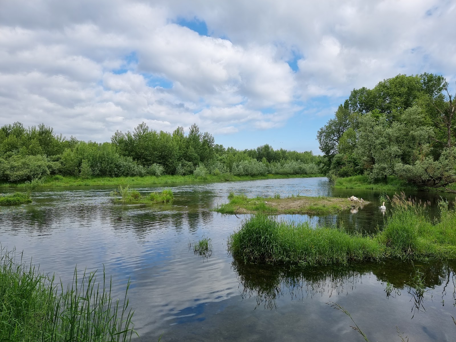 Parco Lombardo della Valle del Ticino - Italia.it