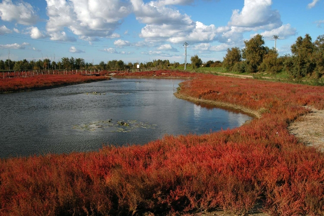 Oasi di Ca' Mello - Italia.it