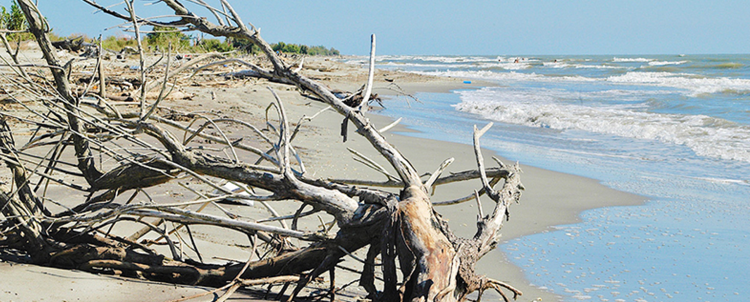 Scano Boa - Italia.it