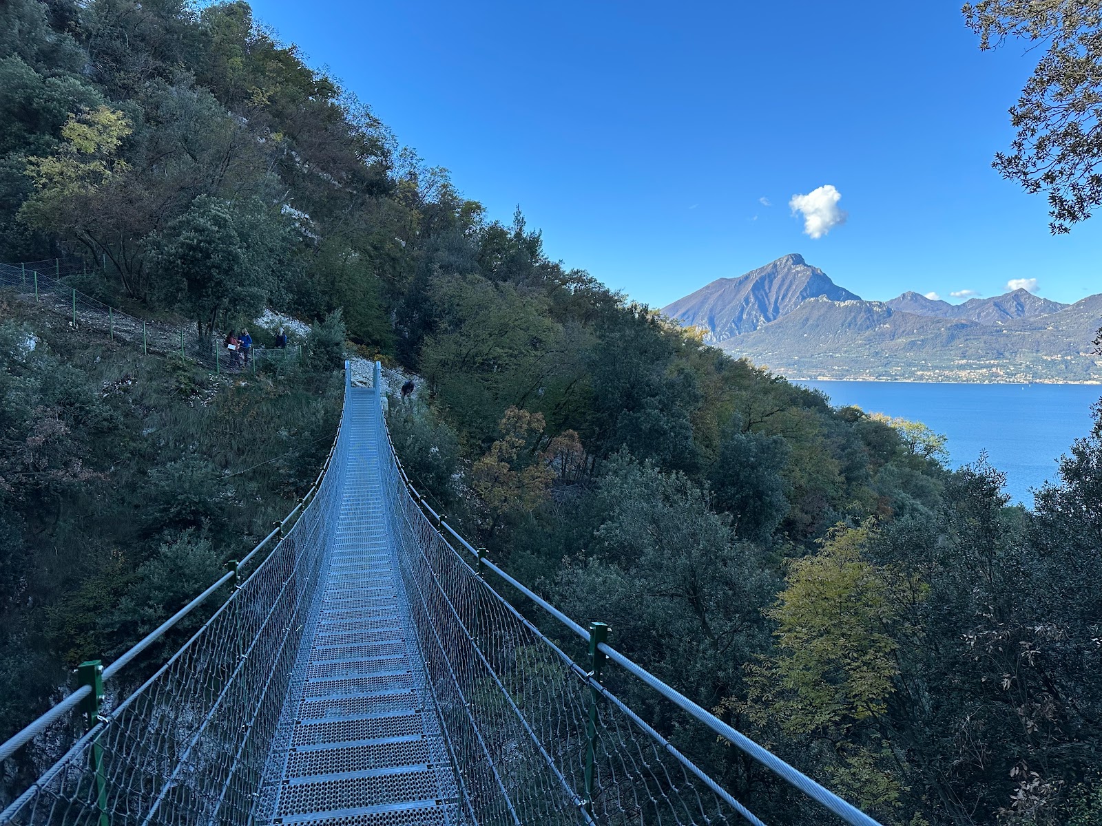 Ponte tibetano Torri del Benaco - Italia.it