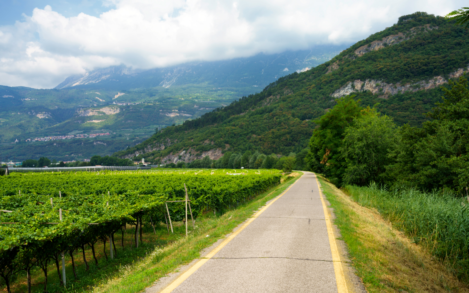 La strada del vino dell’Alto Adige e Versoaln - Italia.it