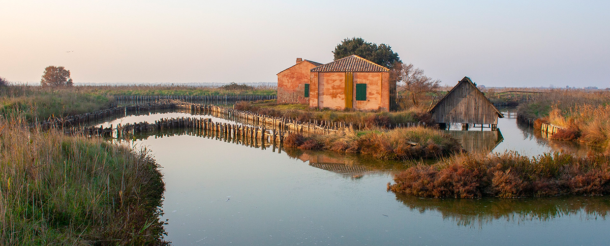 L’anguilla delle Valli di Comacchio - Italia.it