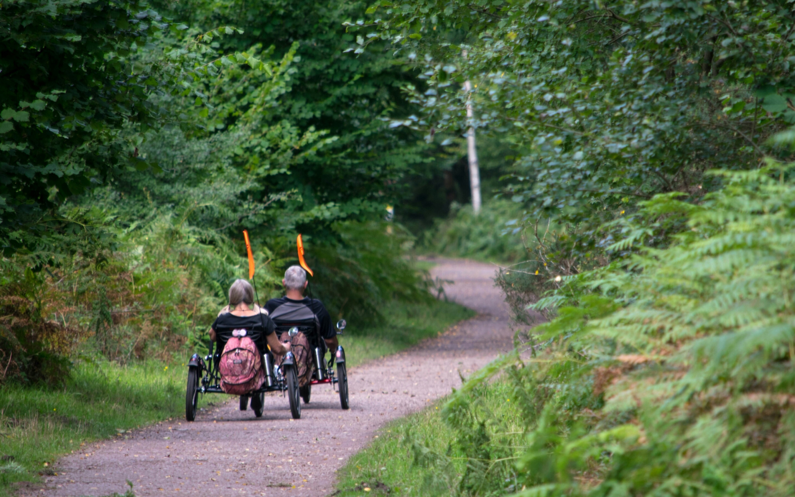 Accessible cycle routes in Emilia Romagna, Italy - Italia.it