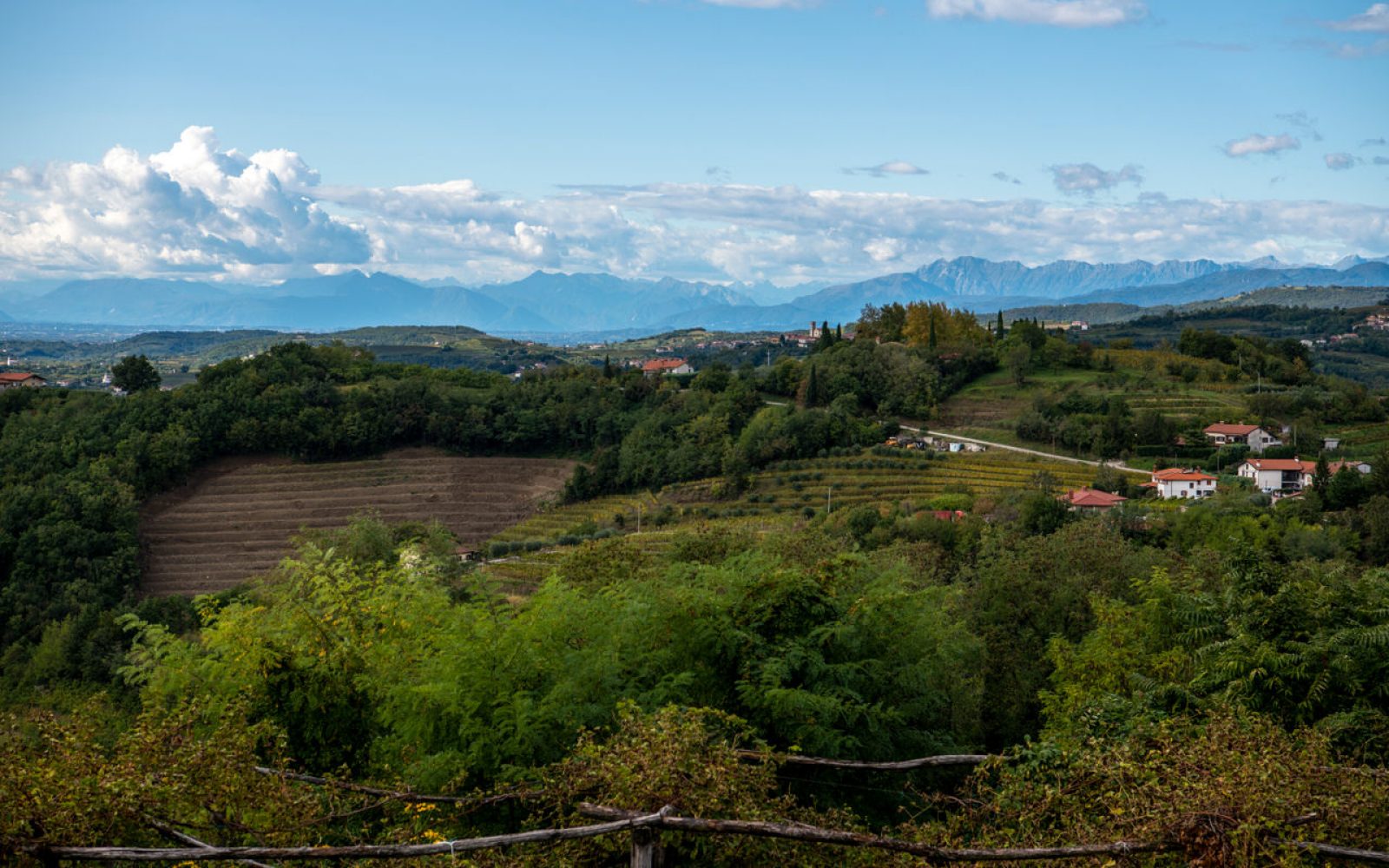 Collio Goriziano: itinerary through vineyards and culture - Italia.it