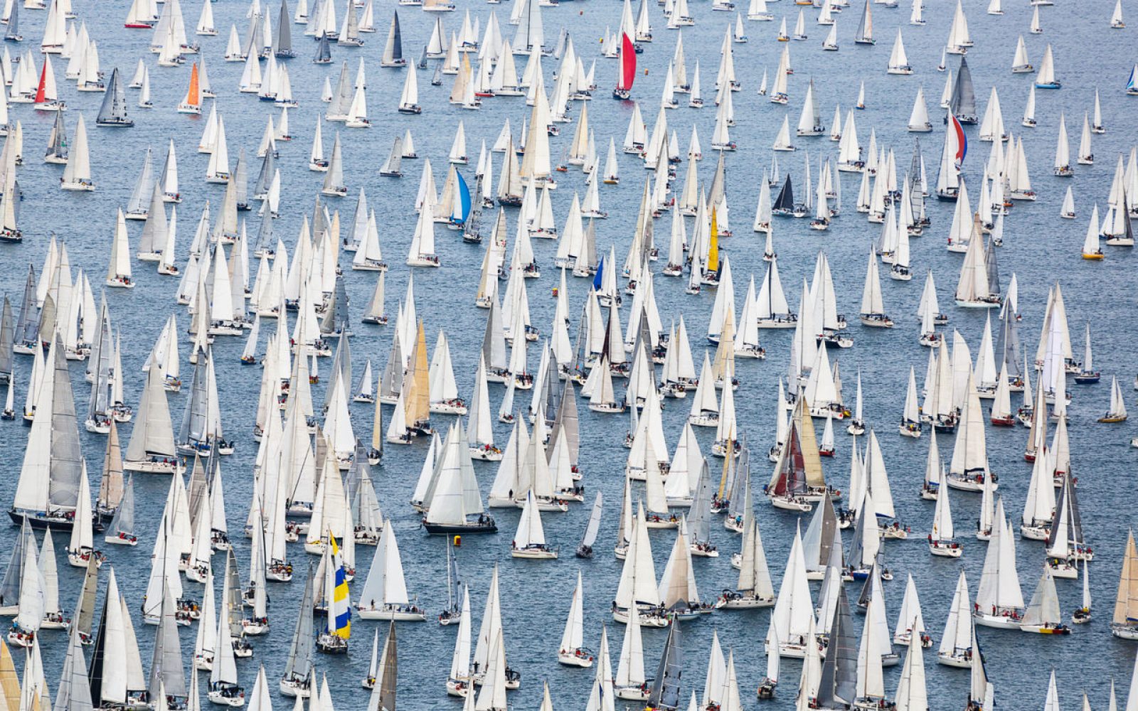 Trieste: imperial itinerary among history and art - Italia.it