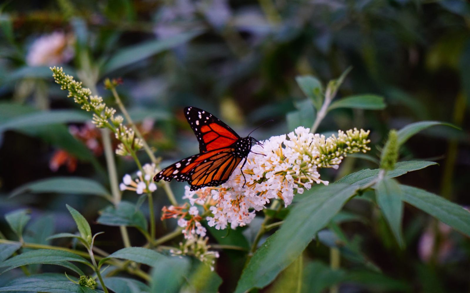 Carnia-Rivarotta in bici, Friuli Venezia Giulia - Italia.it