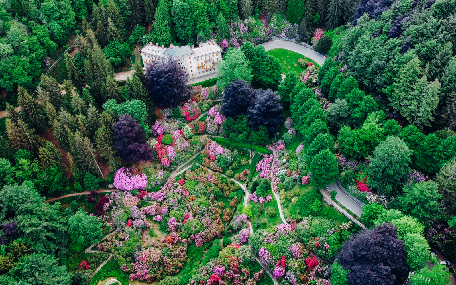 Forest Bathing in Italia: 6 luoghi dove andare - Italia.it