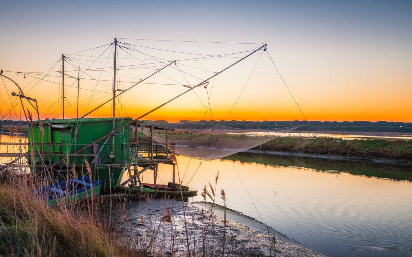 Itinerario Delta del Po: birdwatching - Italia.it
