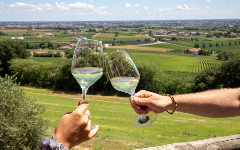 The wines of Lake Garda - Italia.it